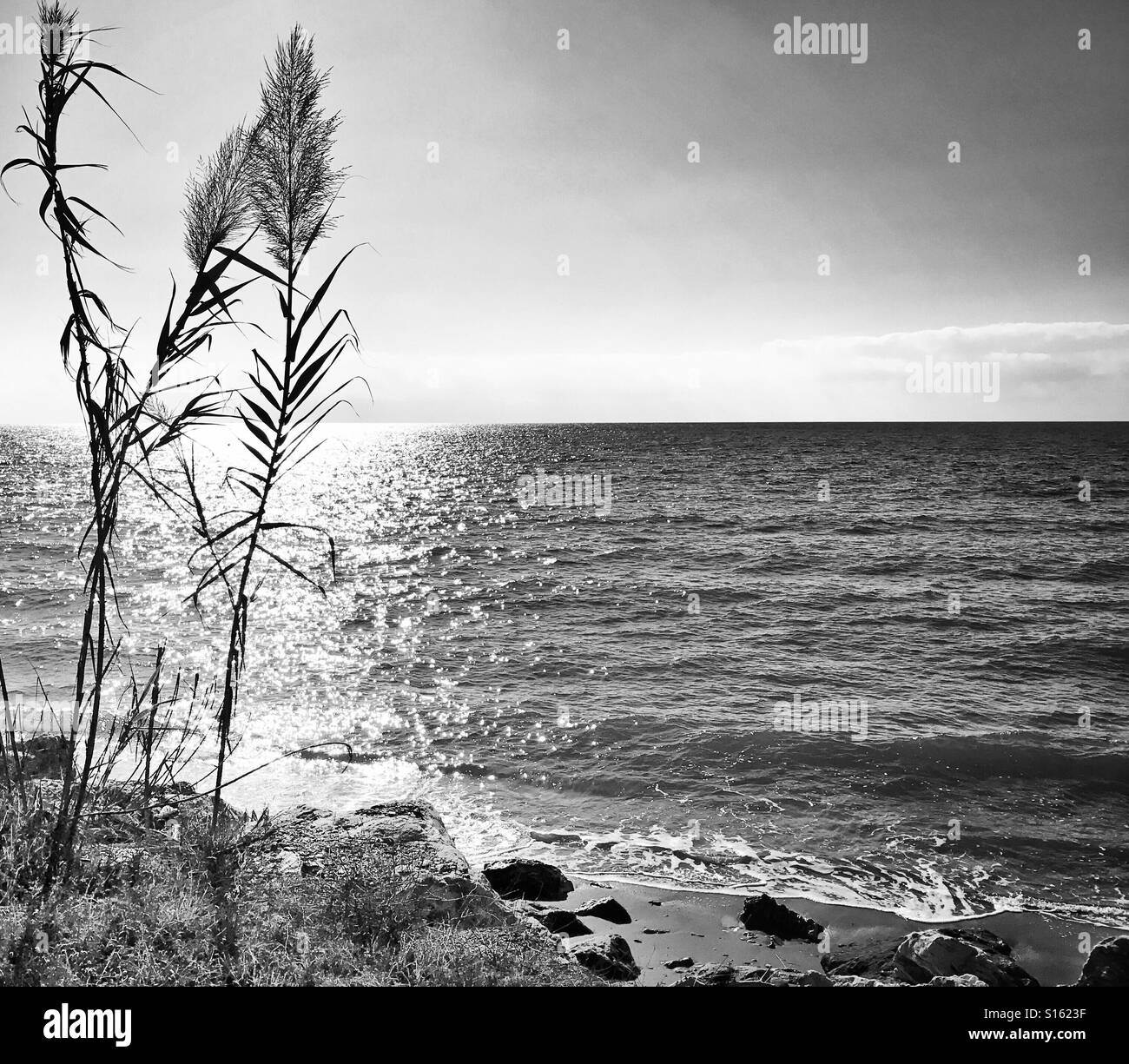 Beach black silhouette foreground hi-res stock photography and images ...