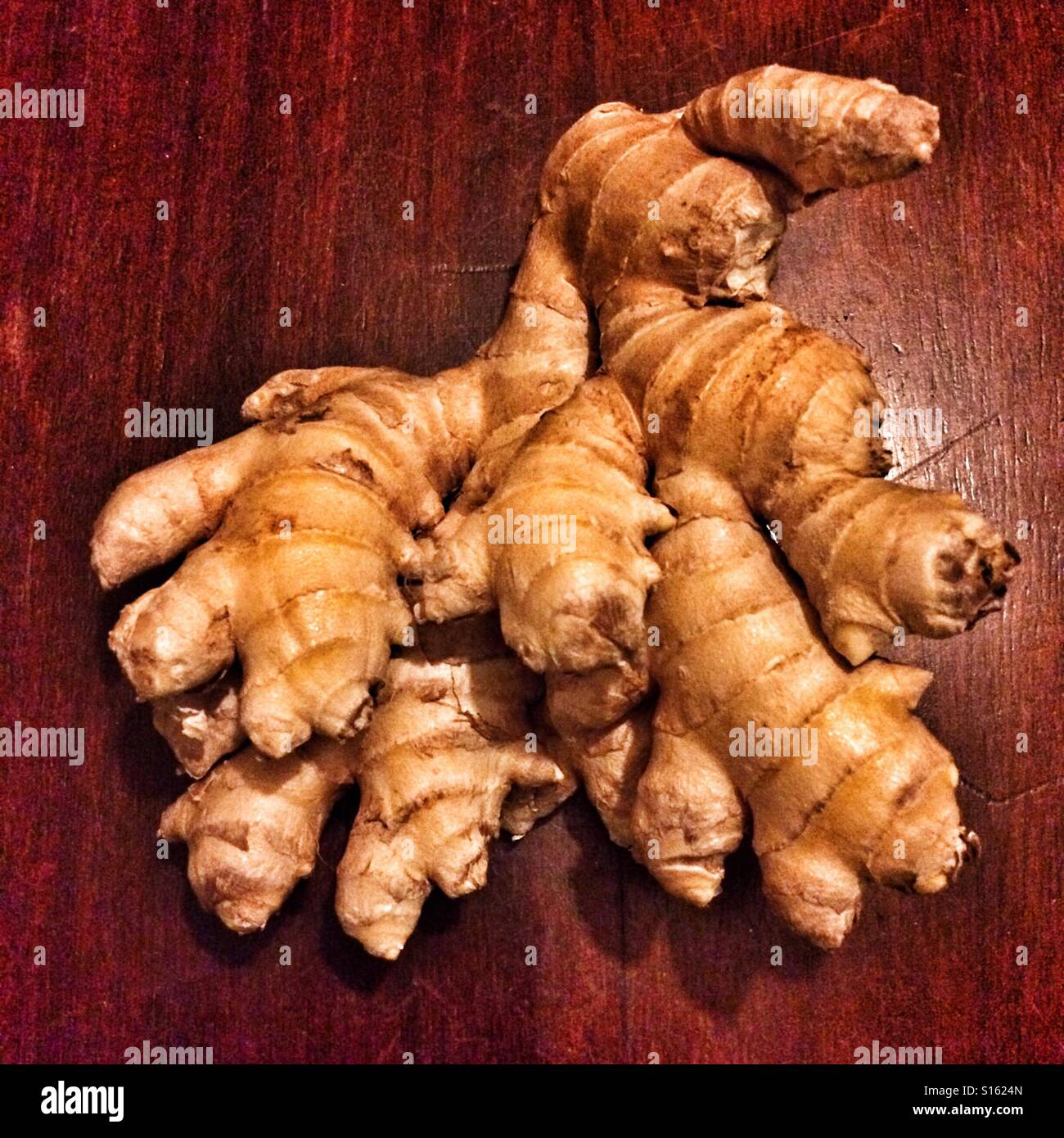 Large ginger root Stock Photo - Alamy