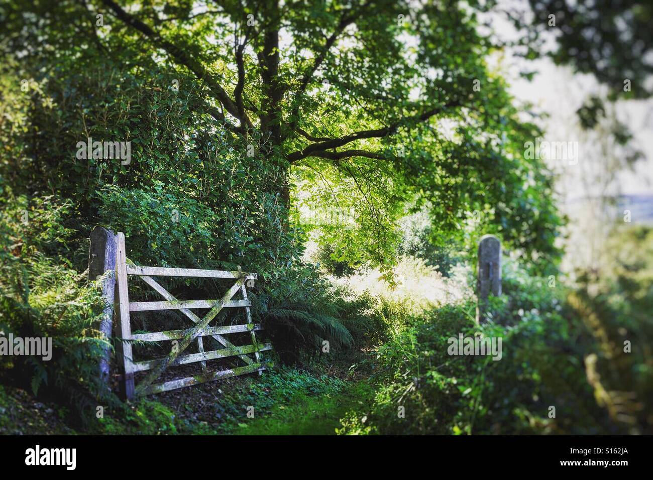 English countryside summer gate hi-res stock photography and images - Alamy
