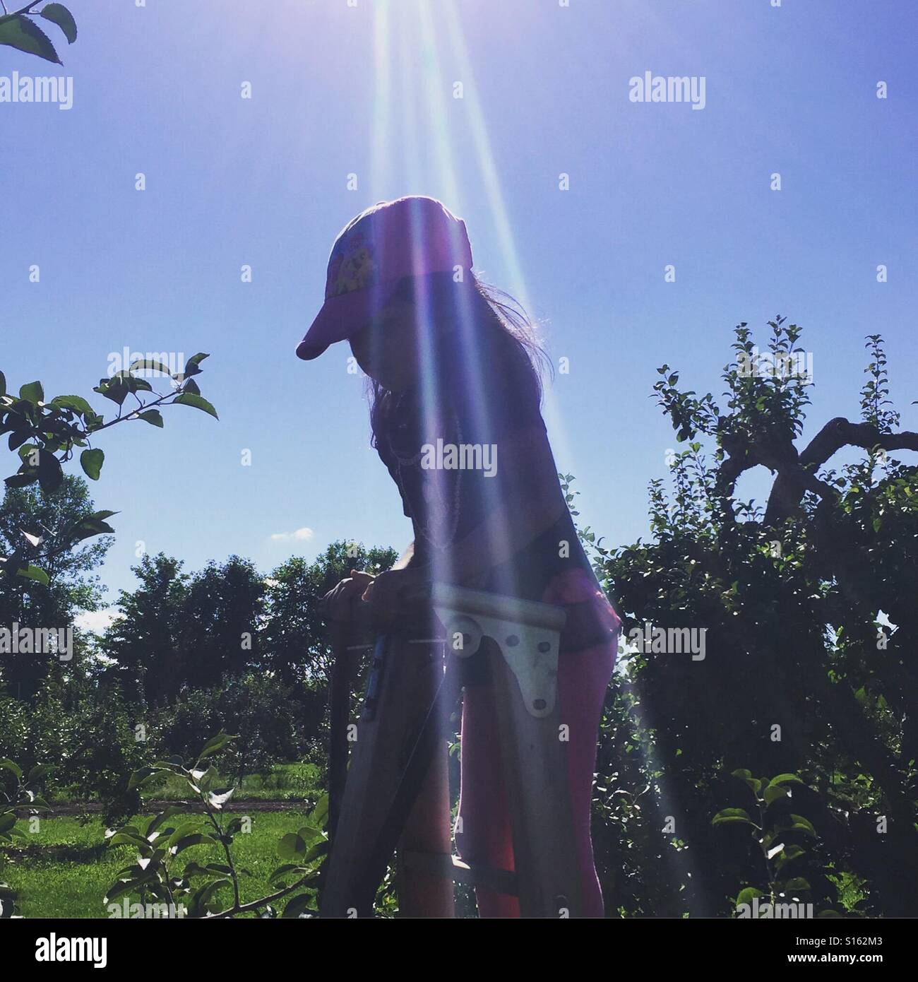 Perfect ray of sunshine by K.R Stock Photo - Alamy