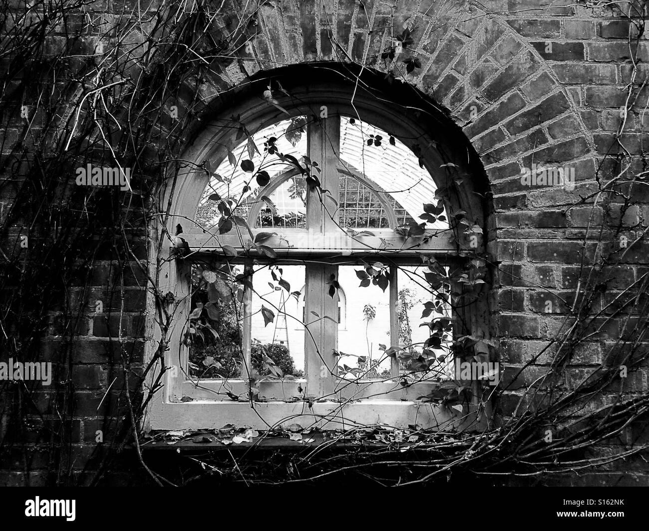 Windowless windows hi-res stock photography and images - Alamy