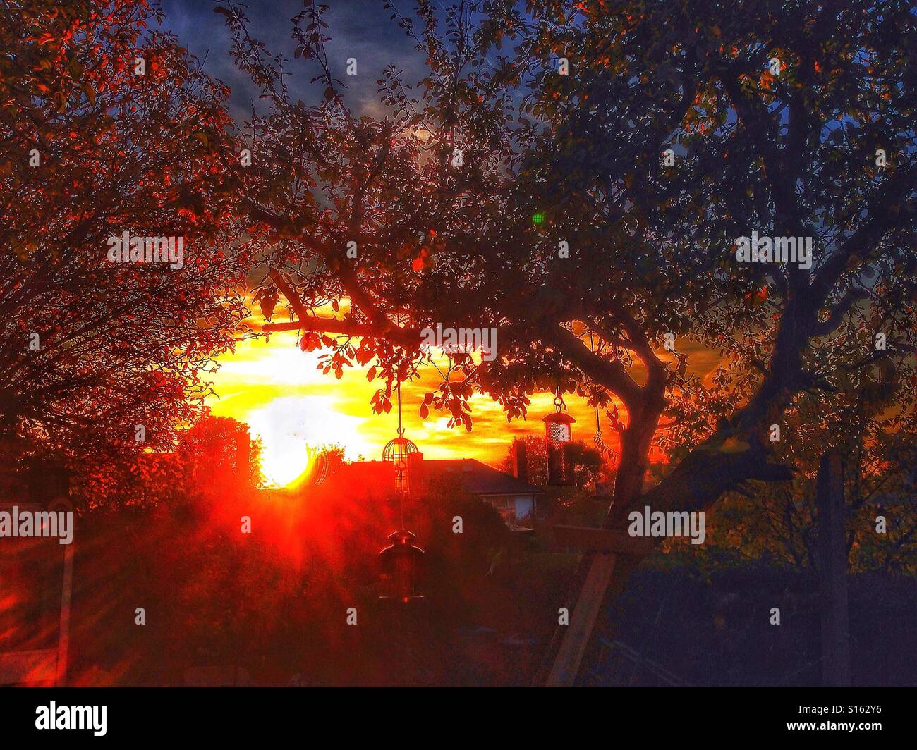 Sunset through Autumn leaves Stock Photo - Alamy