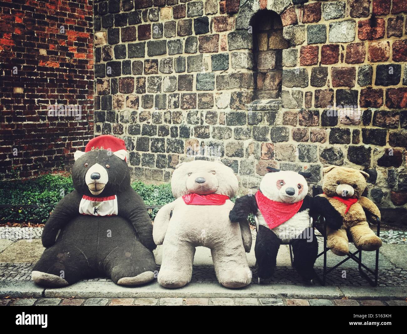 Best buddies hi-res stock photography and images - Alamy