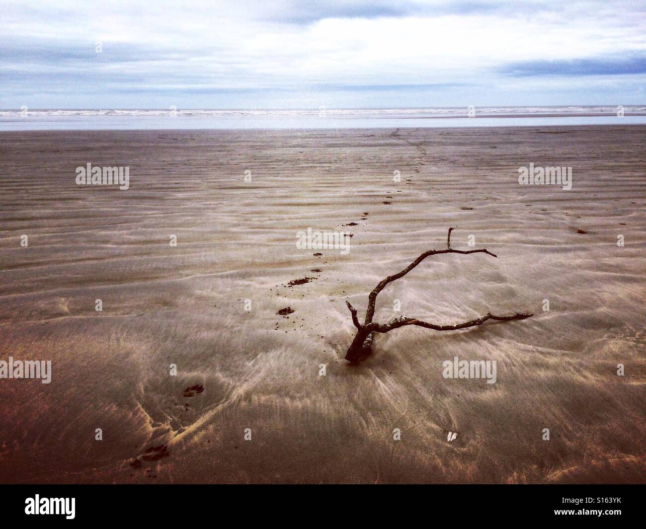 Footsteps sand beach hi-res stock photography and images - Alamy