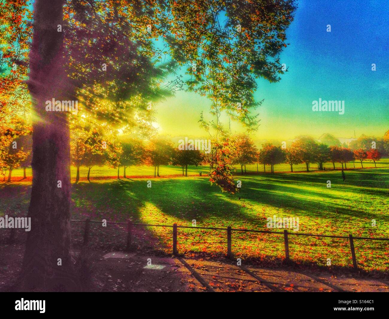 Peckham rye morning Stock Photo - Alamy
