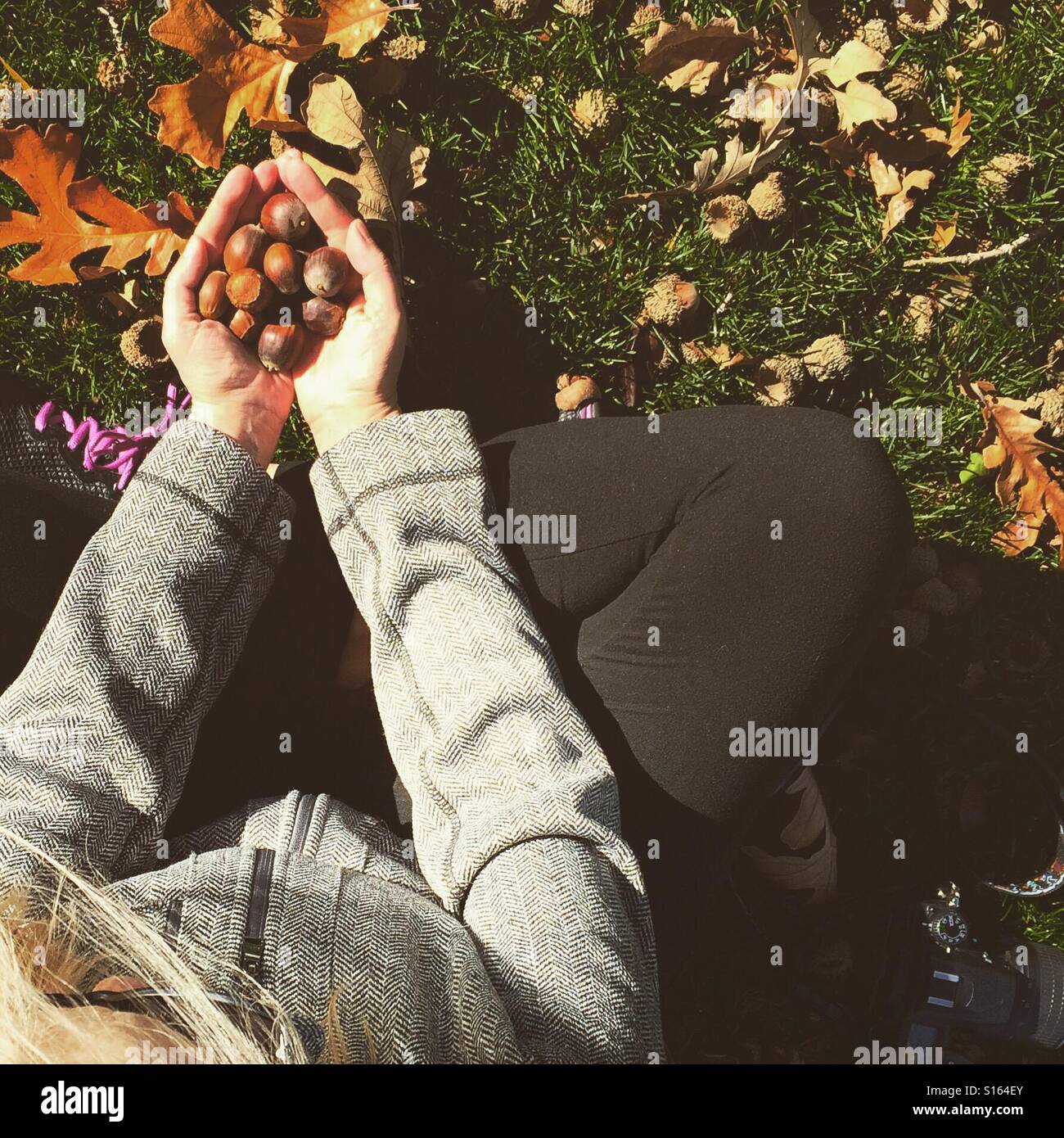 Fall in my hands Stock Photo - Alamy