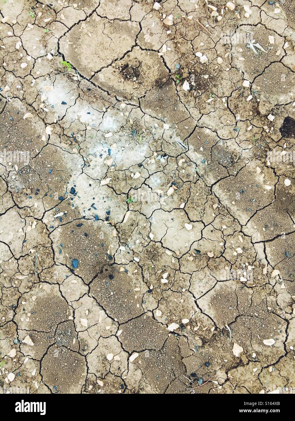 Cracked ground in field top view Stock Photo - Alamy