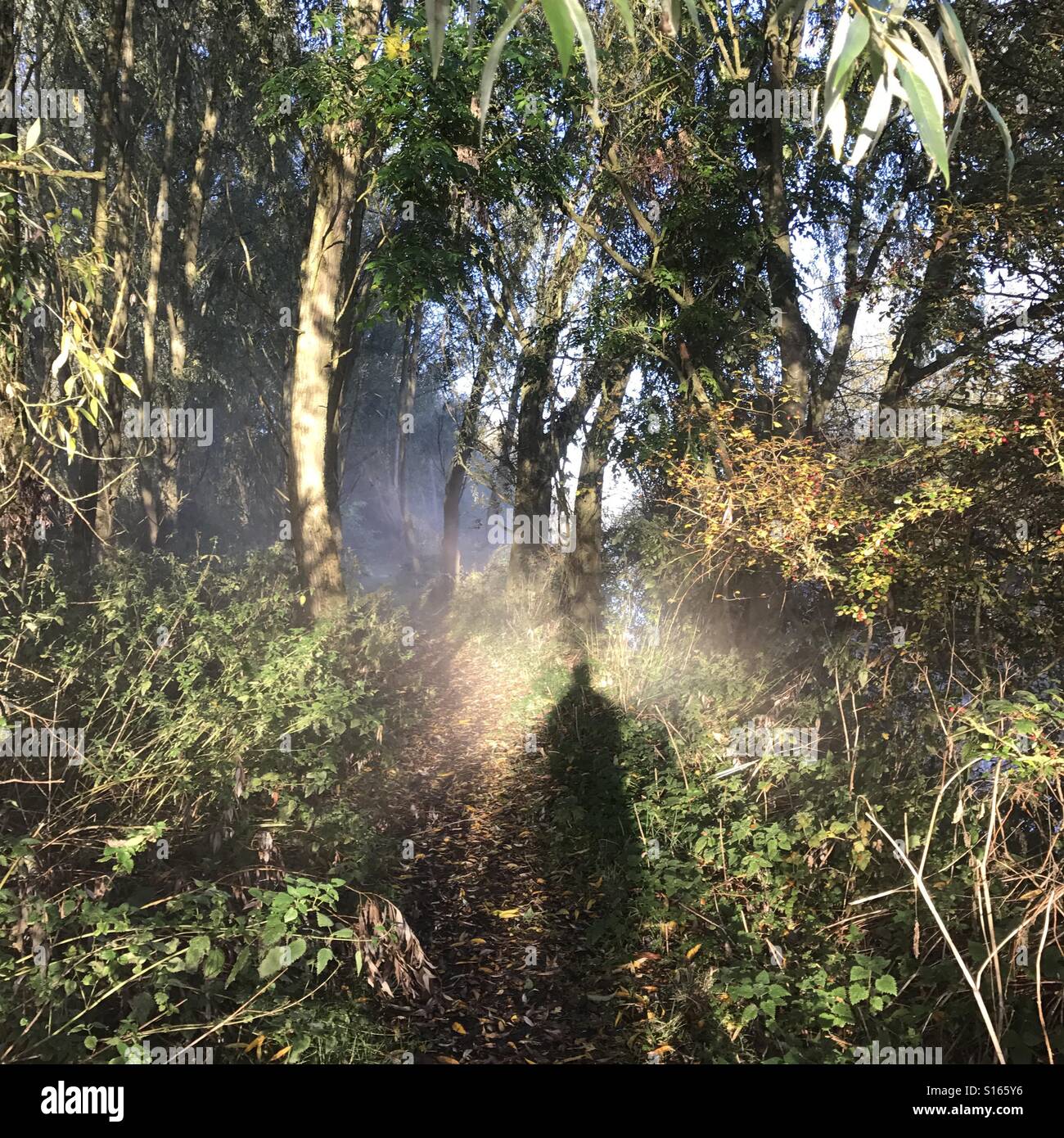 Shadow in the mist hi-res stock photography and images - Alamy