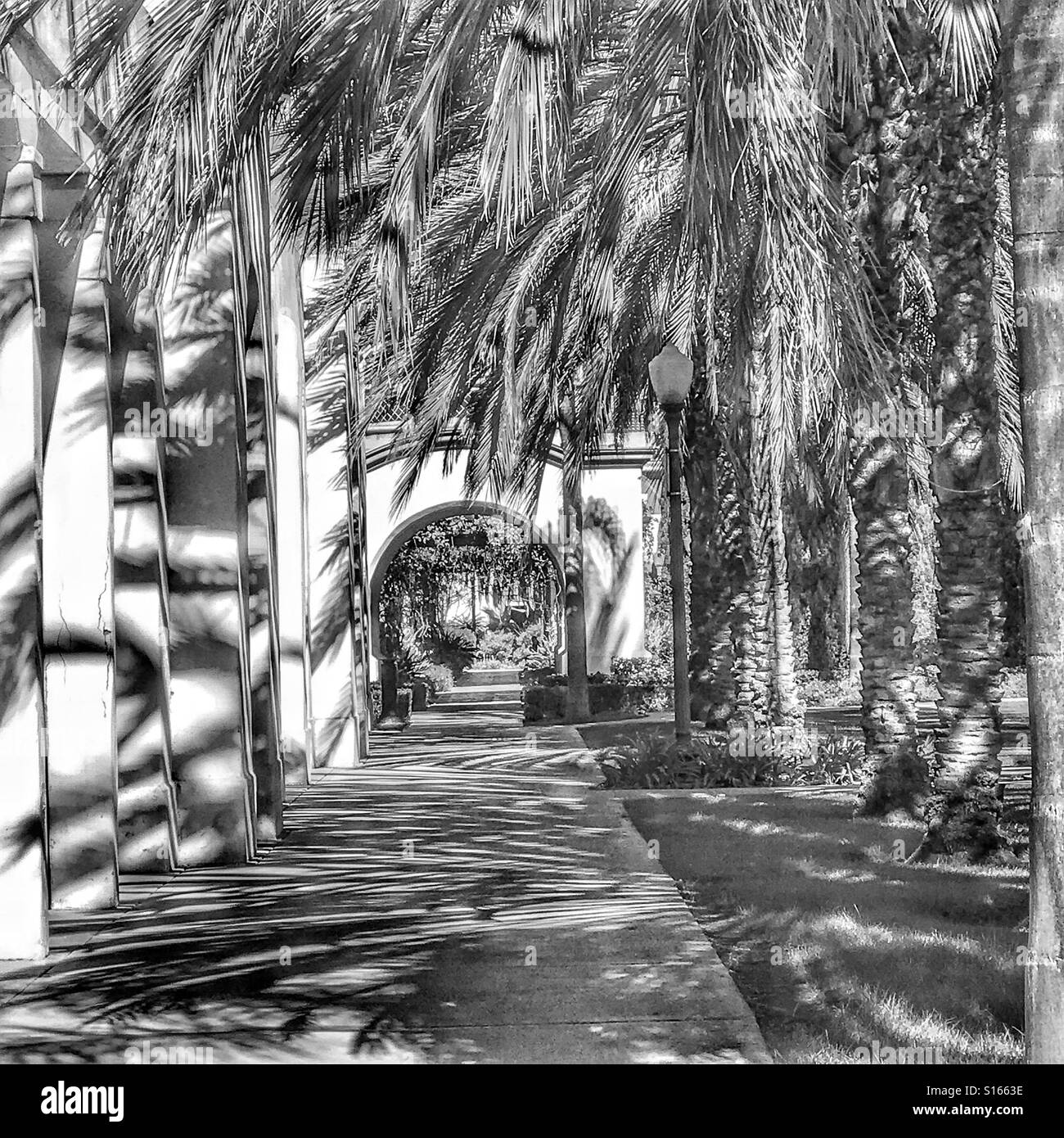 Sun patterns Black and White Stock Photos & Images - Alamy