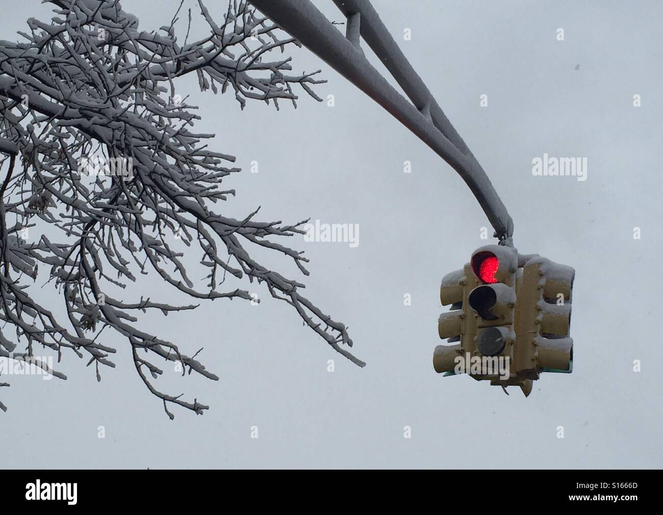 Snowy traffic light Stock Photo - Alamy