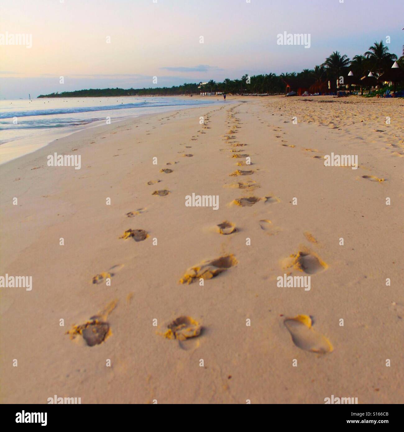 Footsteps on a beach Stock Photo - Alamy