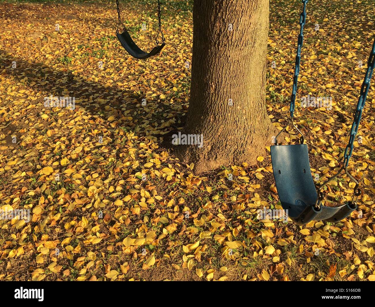Swinging leaves hi-res stock photography and images - Alamy