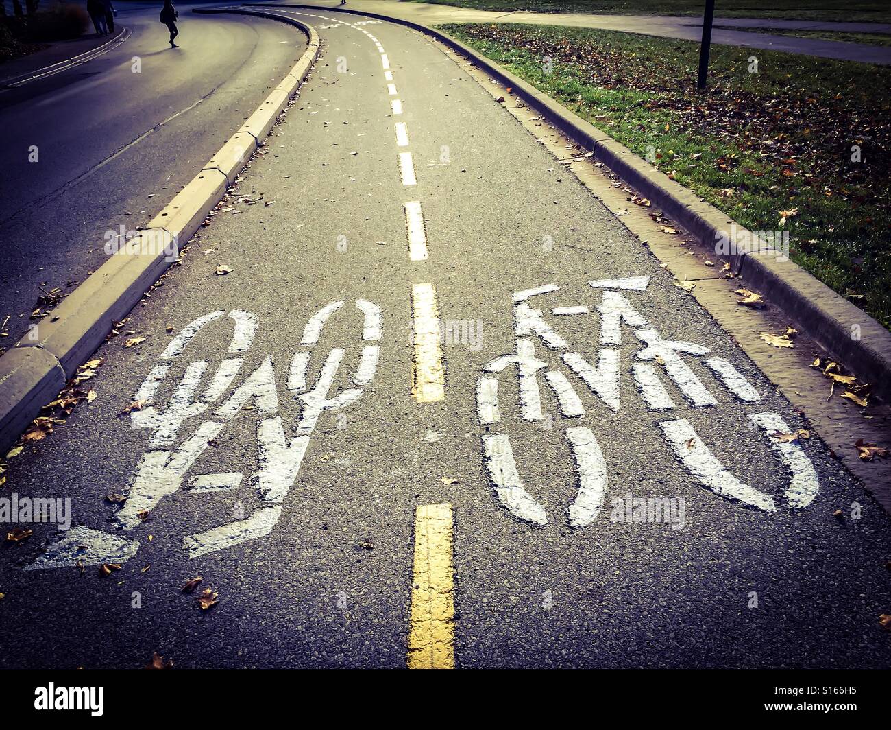Winding two-way bike path Stock Photo - Alamy
