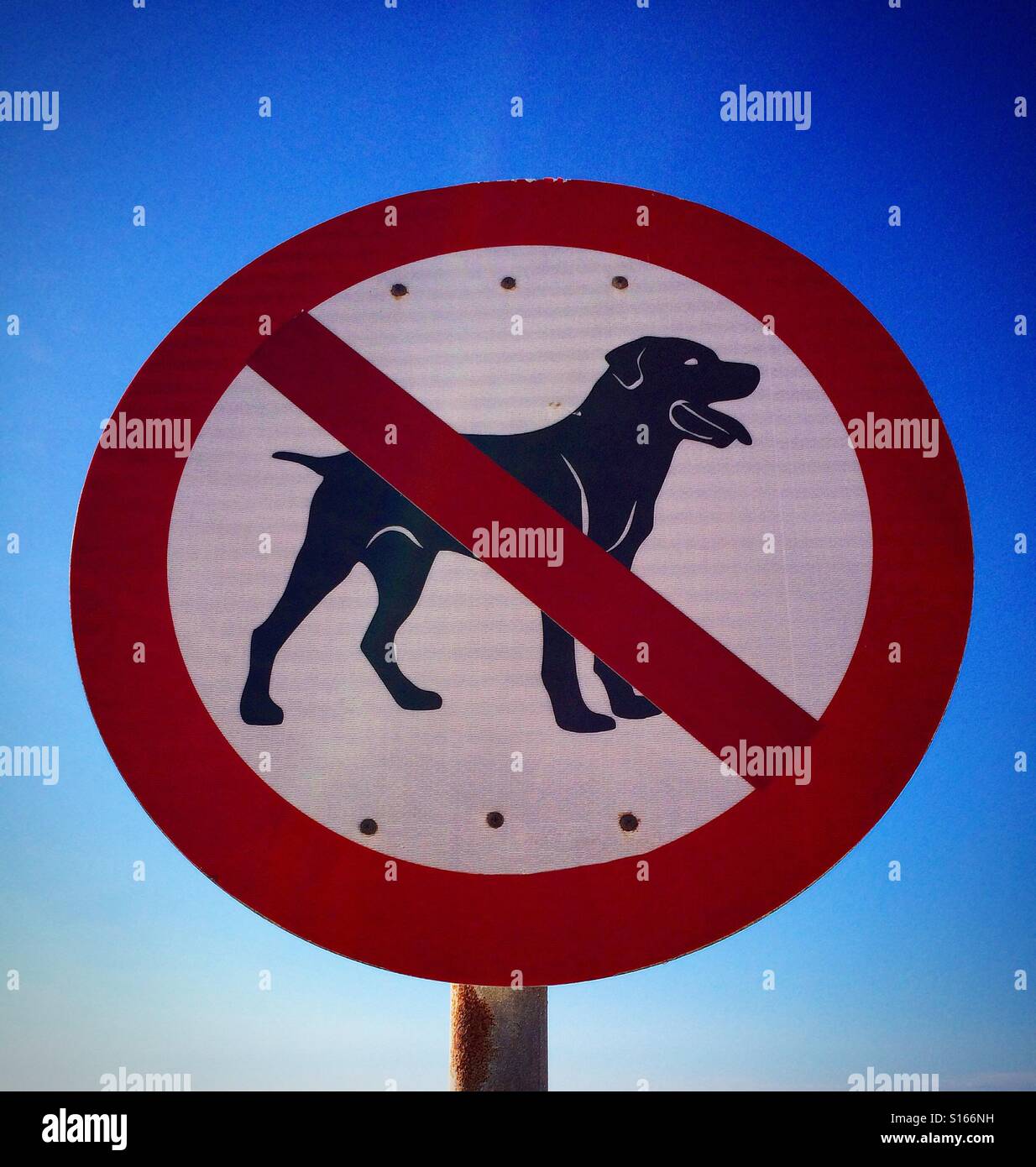 No dog sign Stock Photo - Alamy
