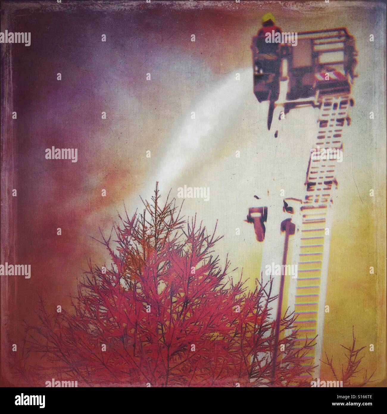 Fireman ladder tree hi-res stock photography and images - Alamy