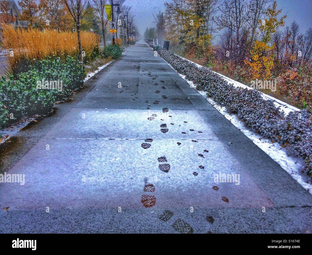 Fall footsteps hi-res stock photography and images - Alamy