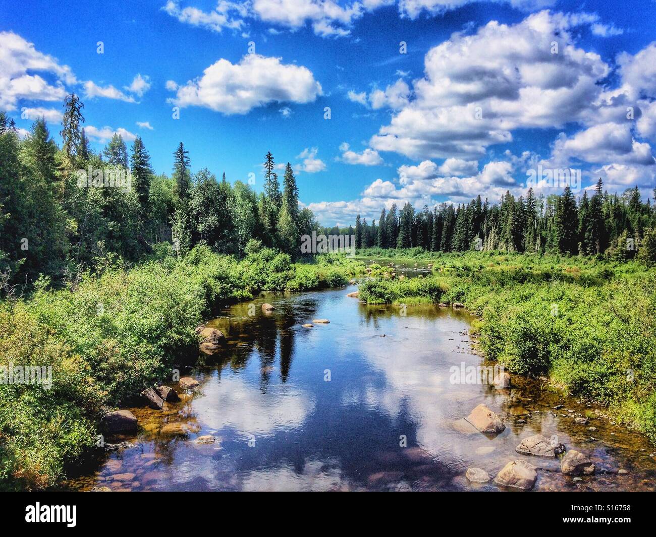 For the love of nature Stock Photo - Alamy