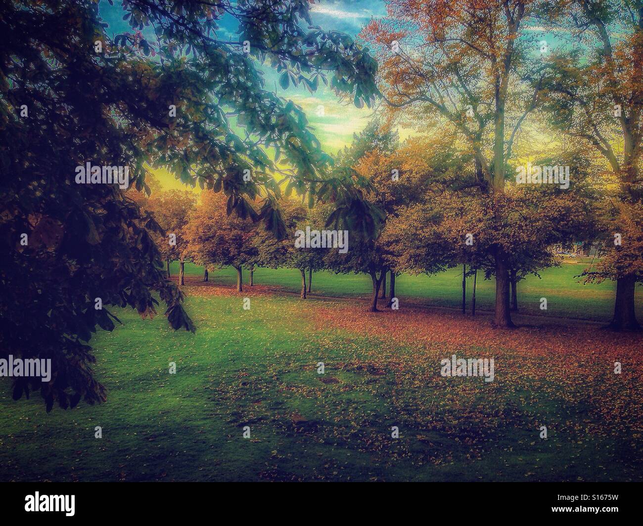 Peckham rye park hi-res stock photography and images - Alamy