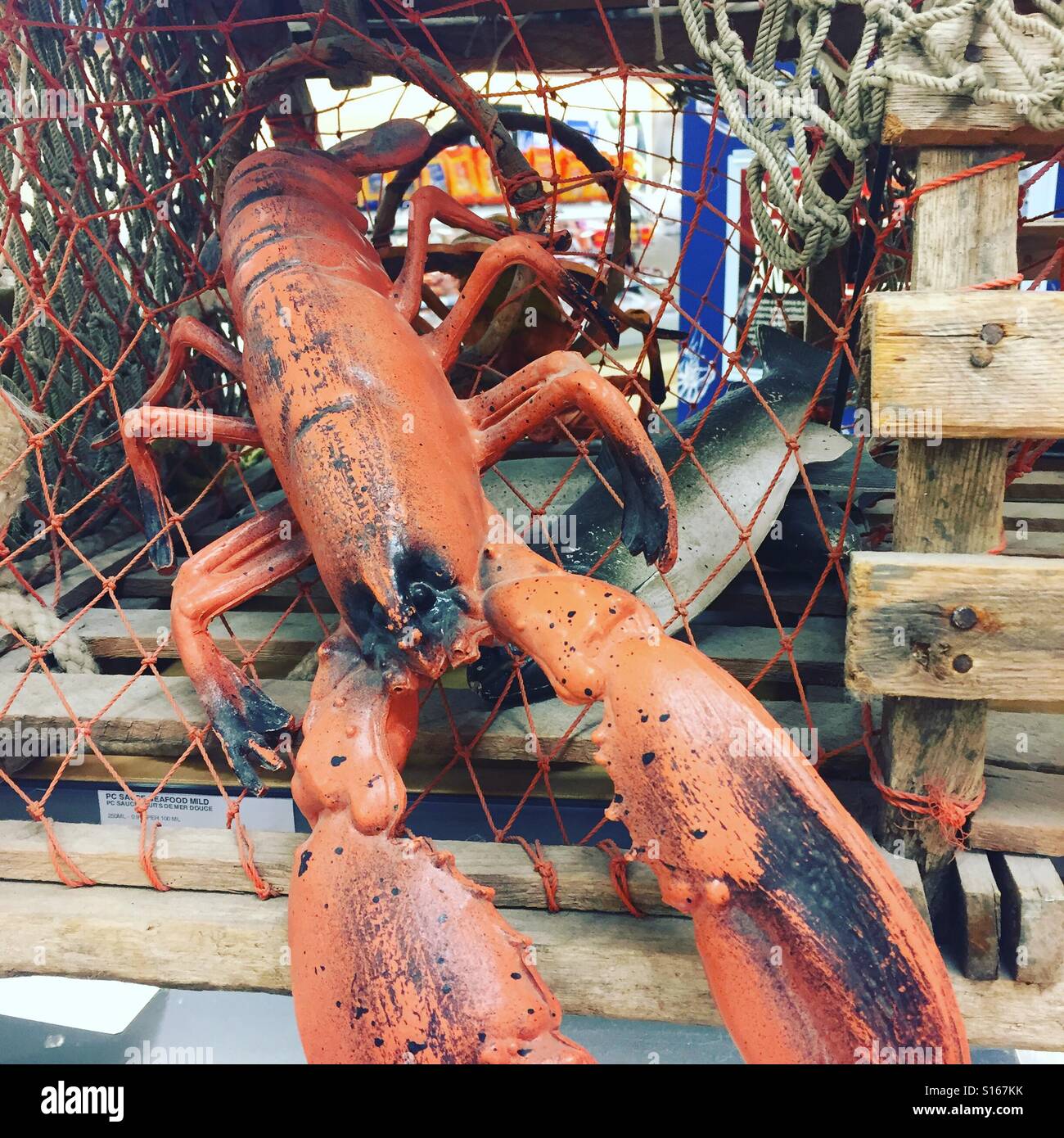 Catch of lobster hi-res stock photography and images - Alamy