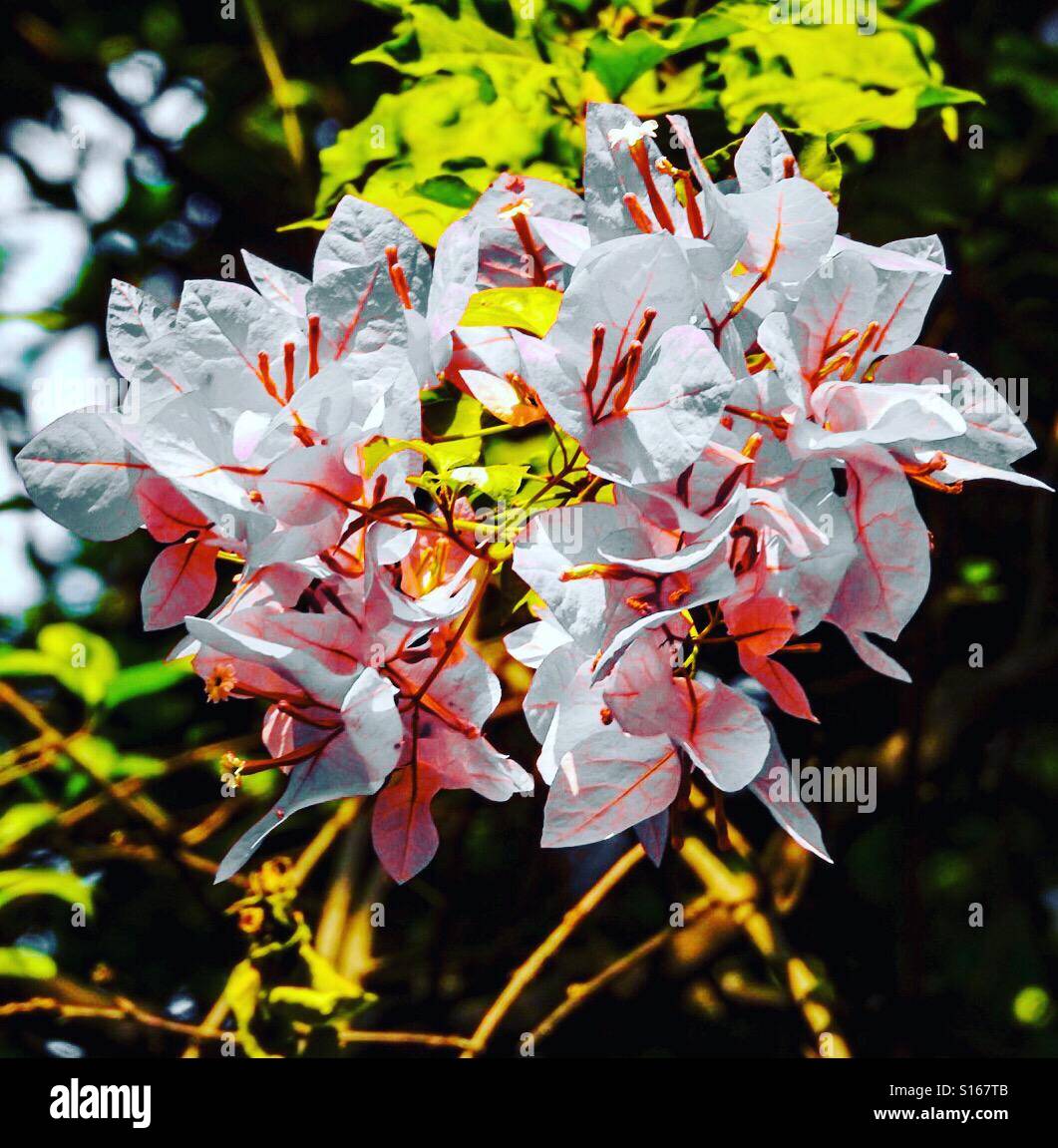 Strive for Creativity Stock Photo - Alamy