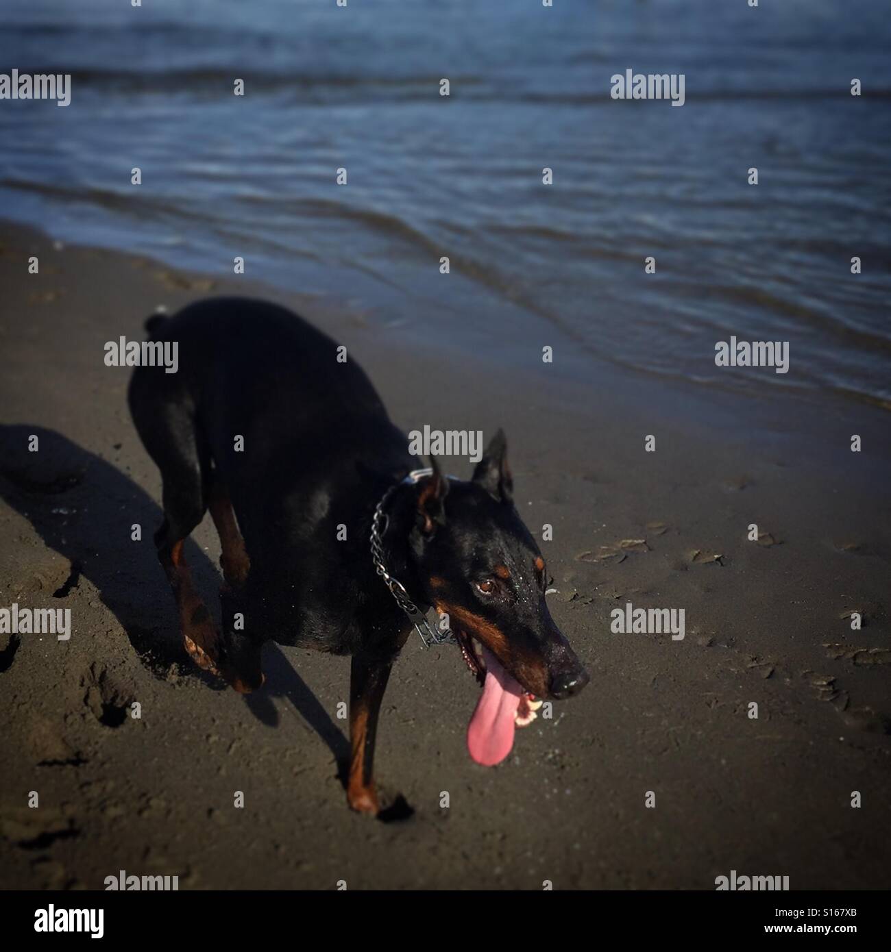 Why so long in the face Stock Photo - Alamy