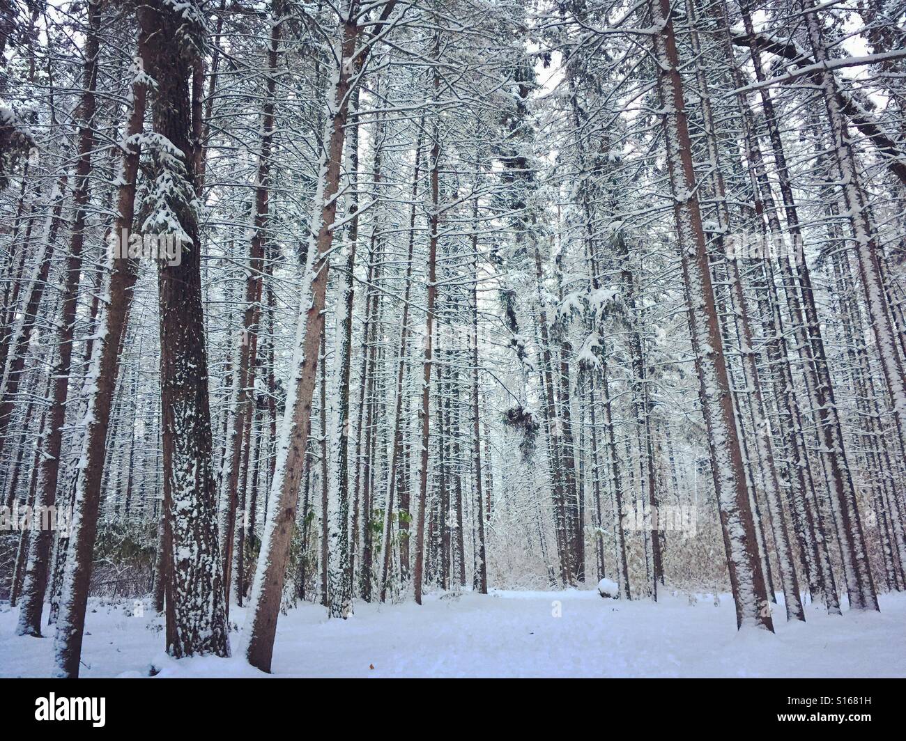 Edmonton Canada Winter High Resolution Stock Photography and Images - Alamy