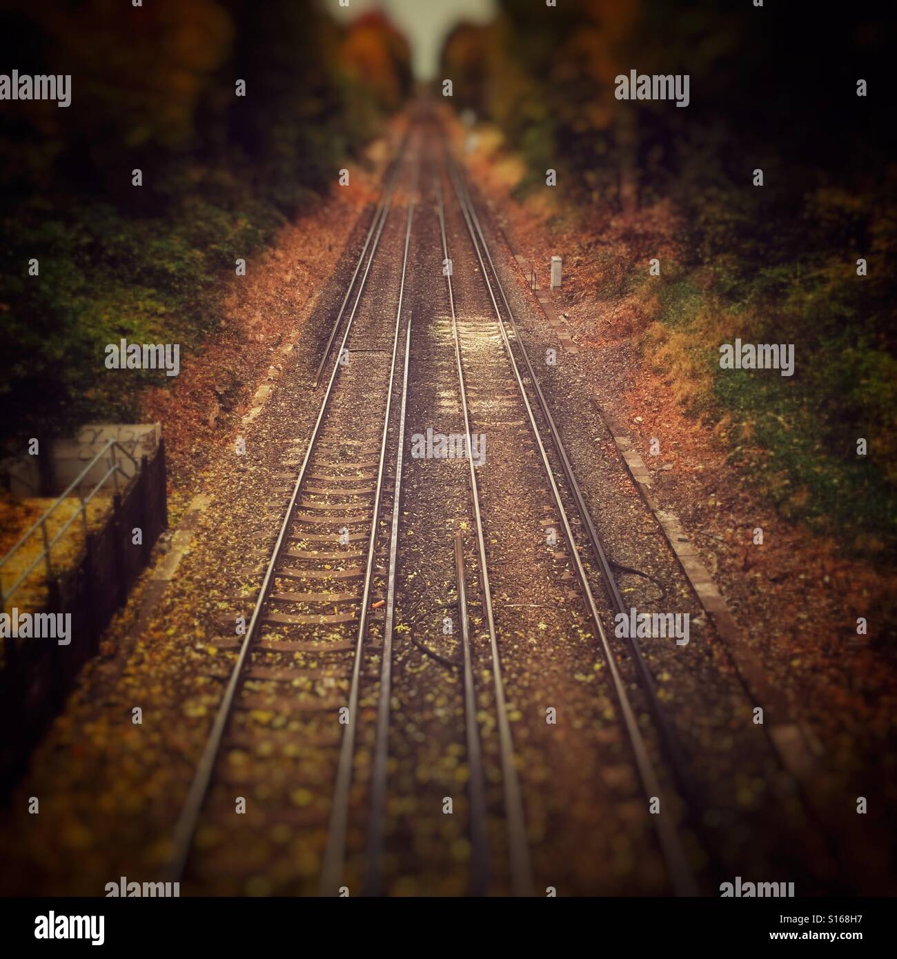 Converging railway tracks, UK Stock Photo - Alamy
