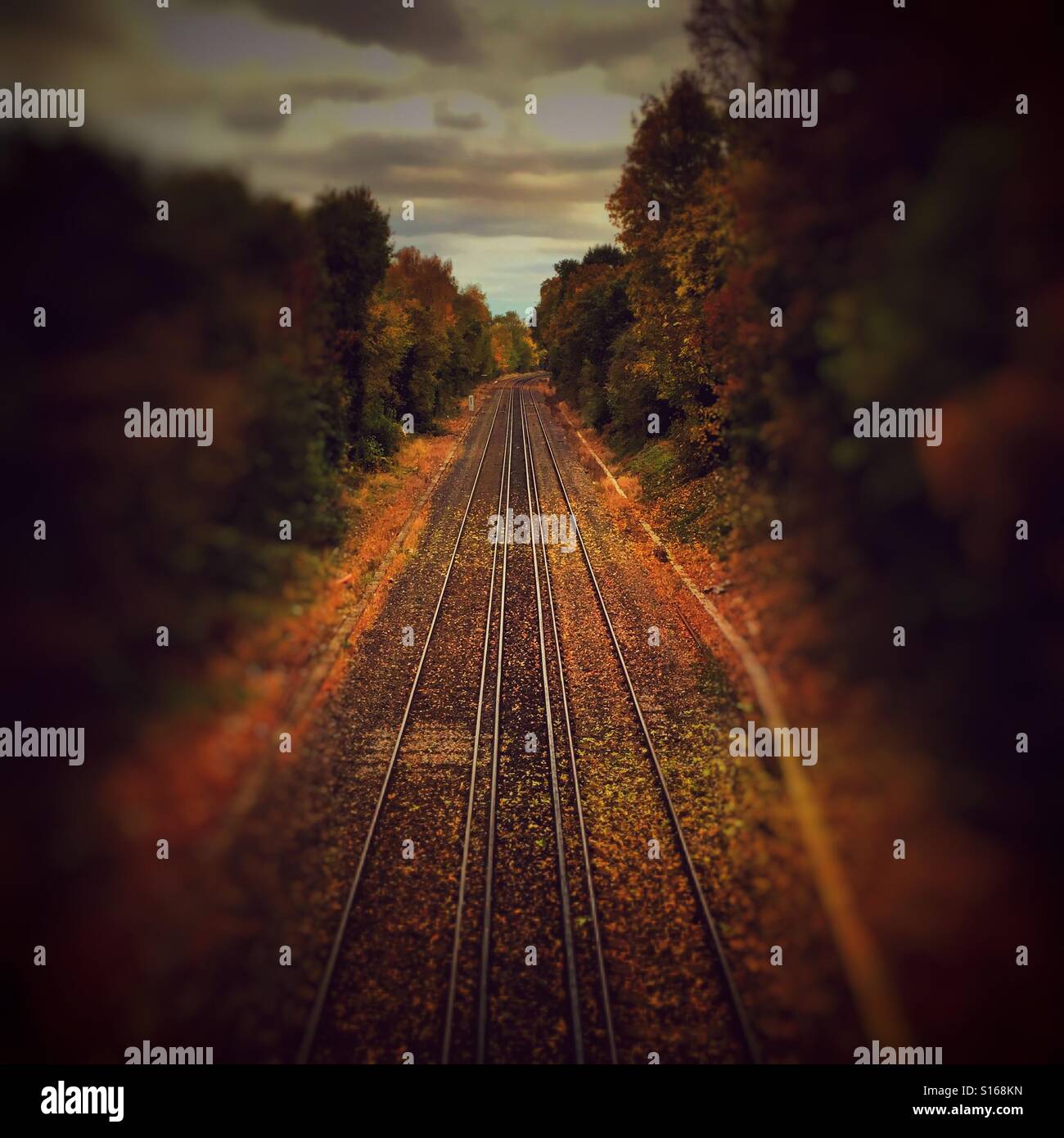Converging railway tracks, UK Stock Photo - Alamy