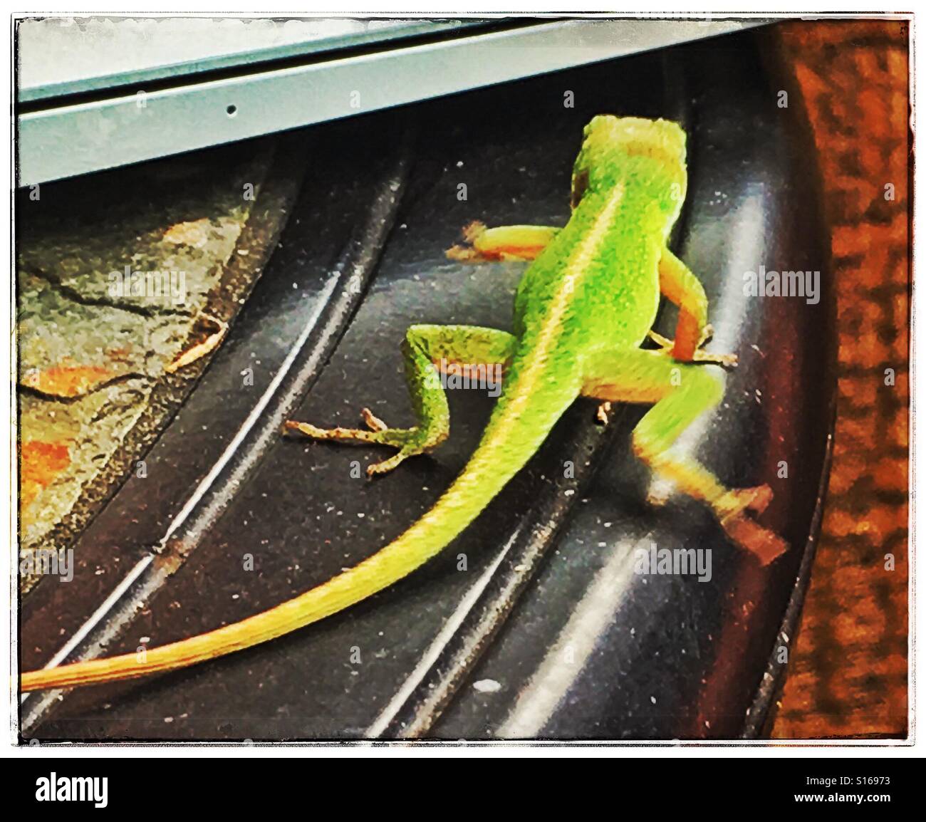 Blizzard from behind hi-res stock photography and images - Alamy