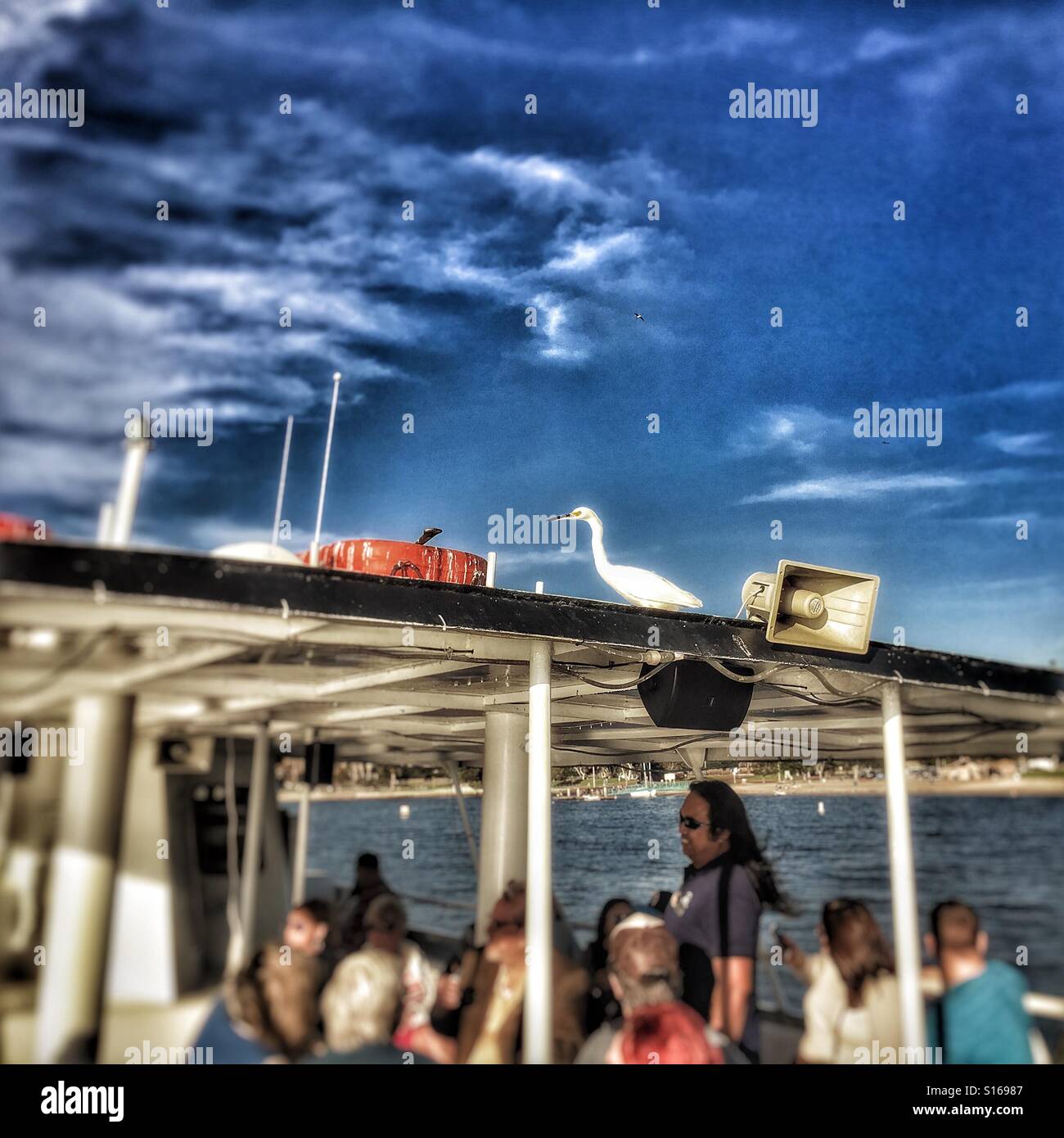 Hitching A Ride Stock Photos & Hitching A Ride Stock Images - Alamy