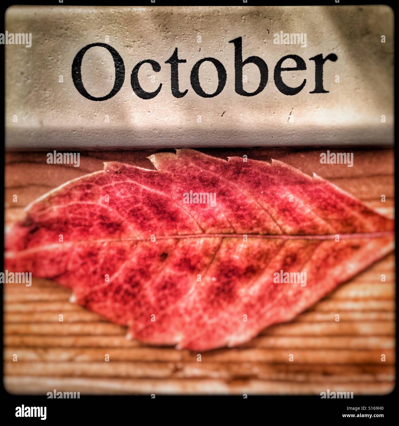 The calendar month of October depicting Autumn Stock Photo - Alamy