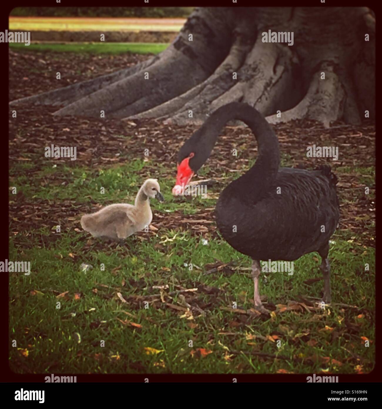 Parental supervision hi-res stock photography and images - Alamy