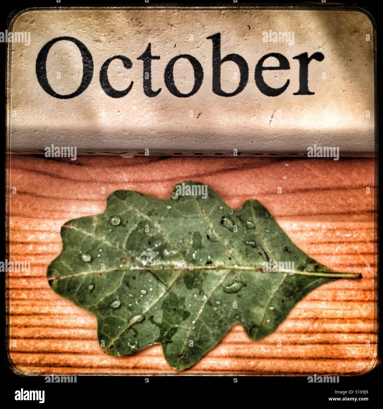 Month name hi-res stock photography and images - Alamy