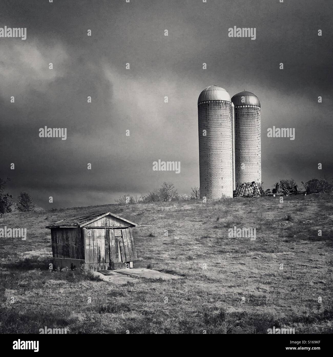 Old run down shed in pasture with two silos in background Stock Photo ...