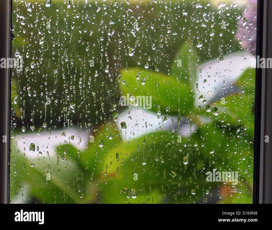 Rainy Day,rain,daytime, day,window,pane,window pane,wet,weather,green,droplet,rain droplet ...