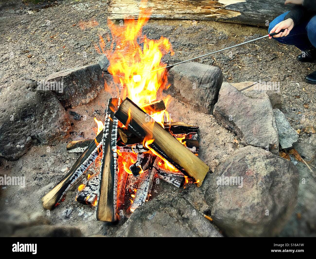 Toasting marshmallows fire hi-res stock photography and images - Alamy