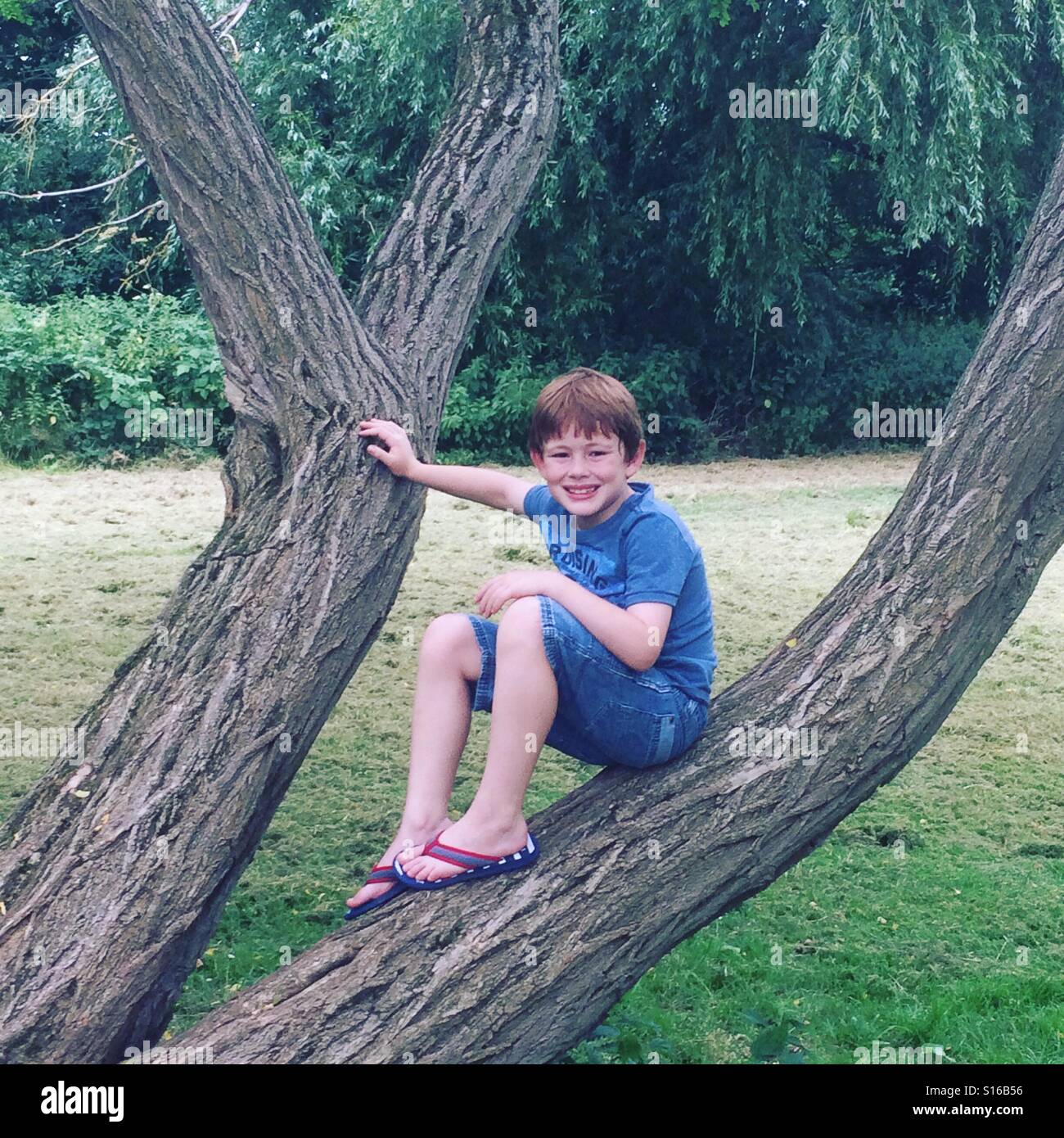 Tree boy hi-res stock photography and images - Alamy