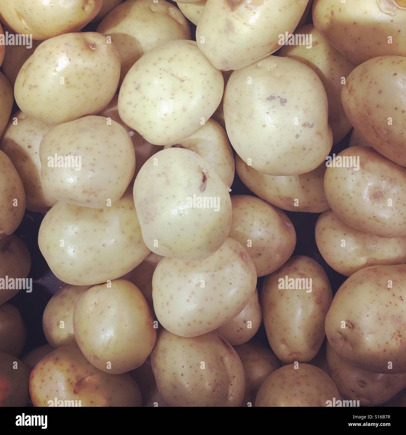 Organic white potatoes hi-res stock photography and images - Alamy