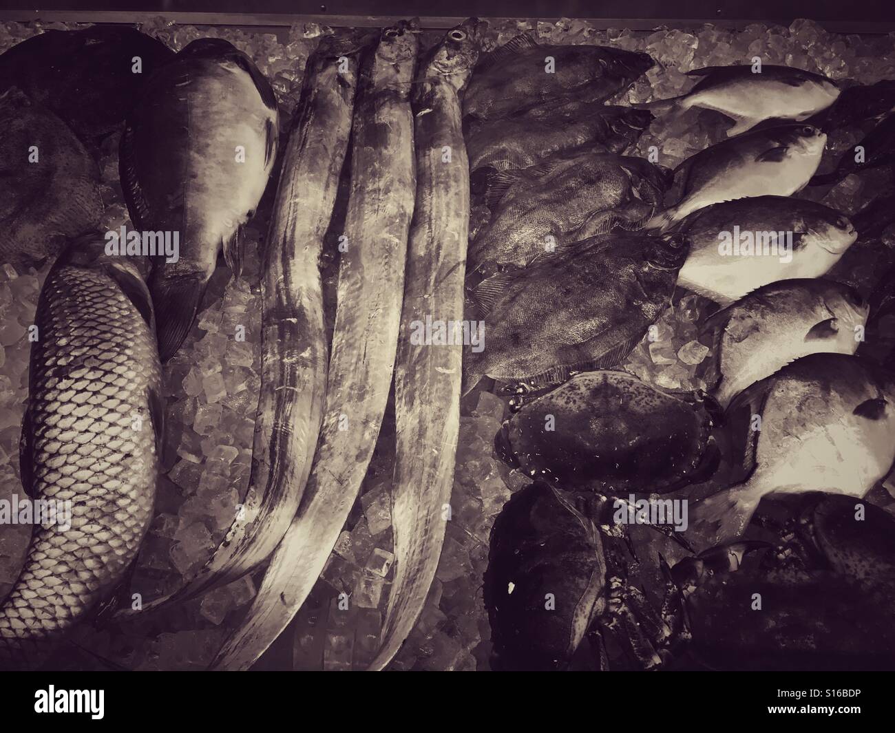 Display of various fish at a fish monger Stock Photo - Alamy