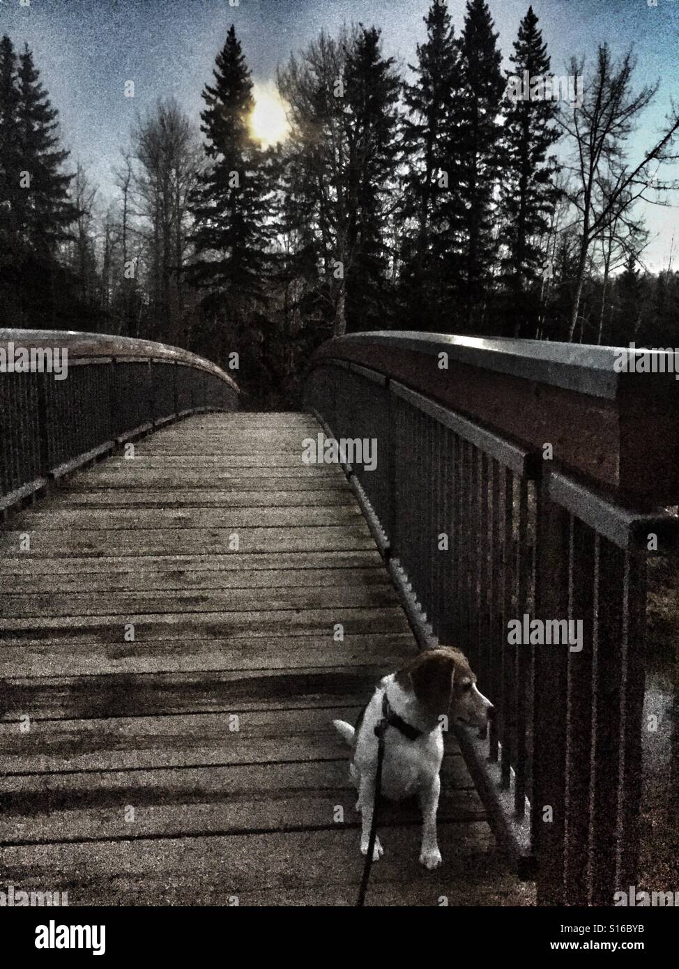 Moonlight Bridge High Resolution Stock Photography and Images - Alamy