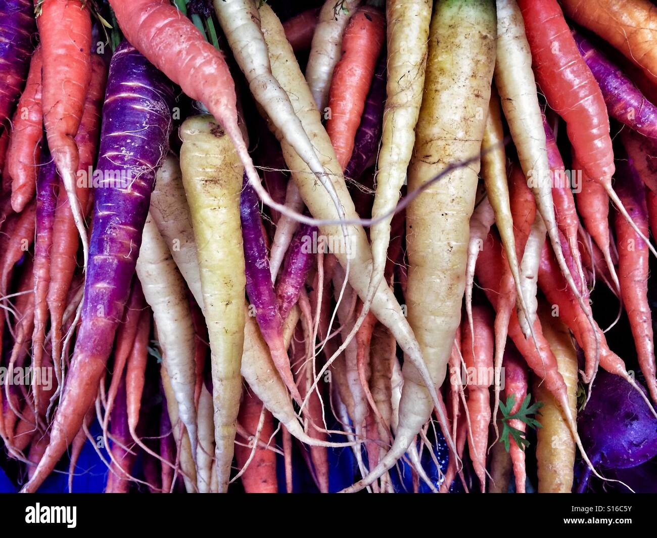 Coloured varieties hi-res stock photography and images - Alamy