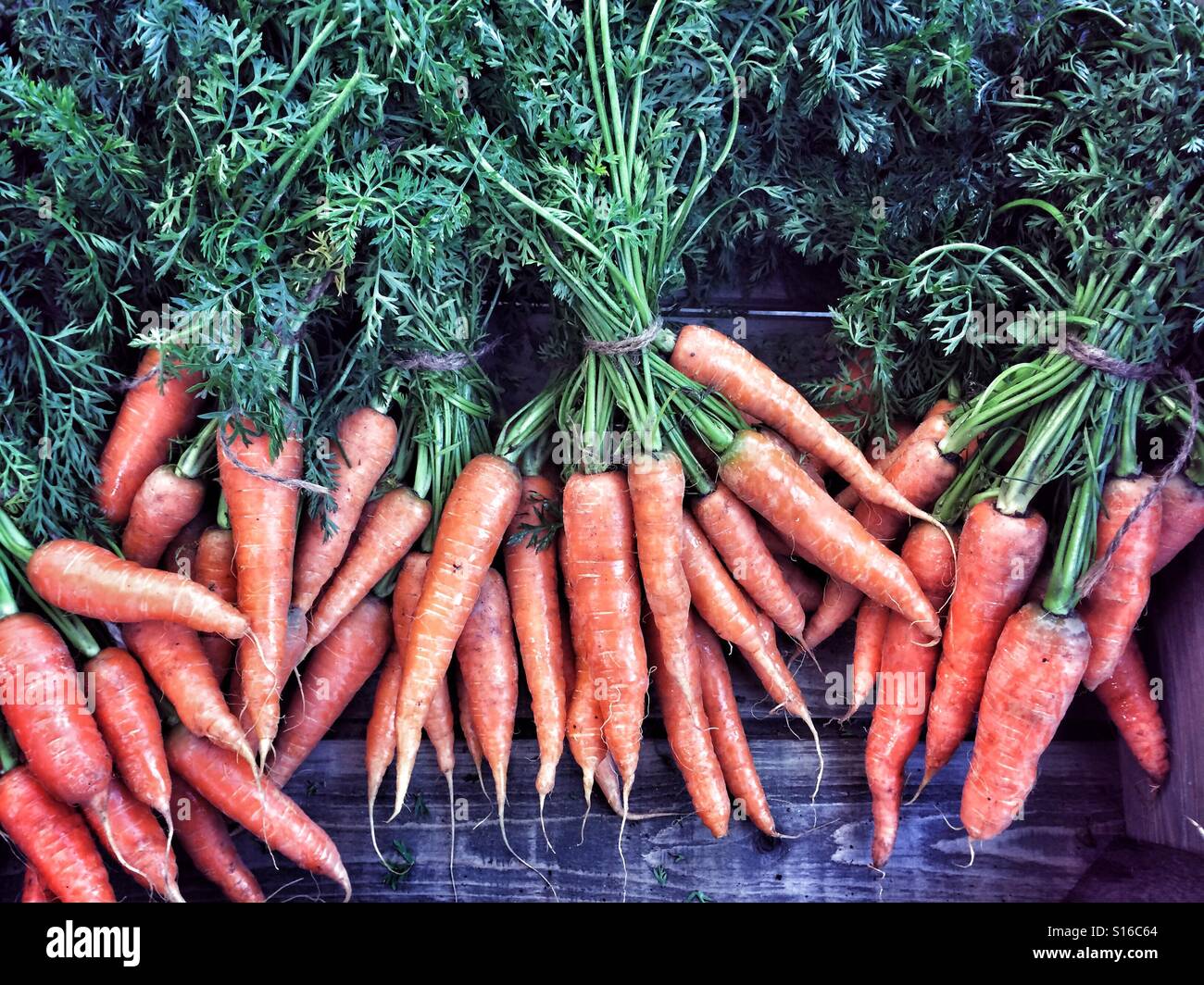 Carrots at farmers market Stock Photo - Alamy