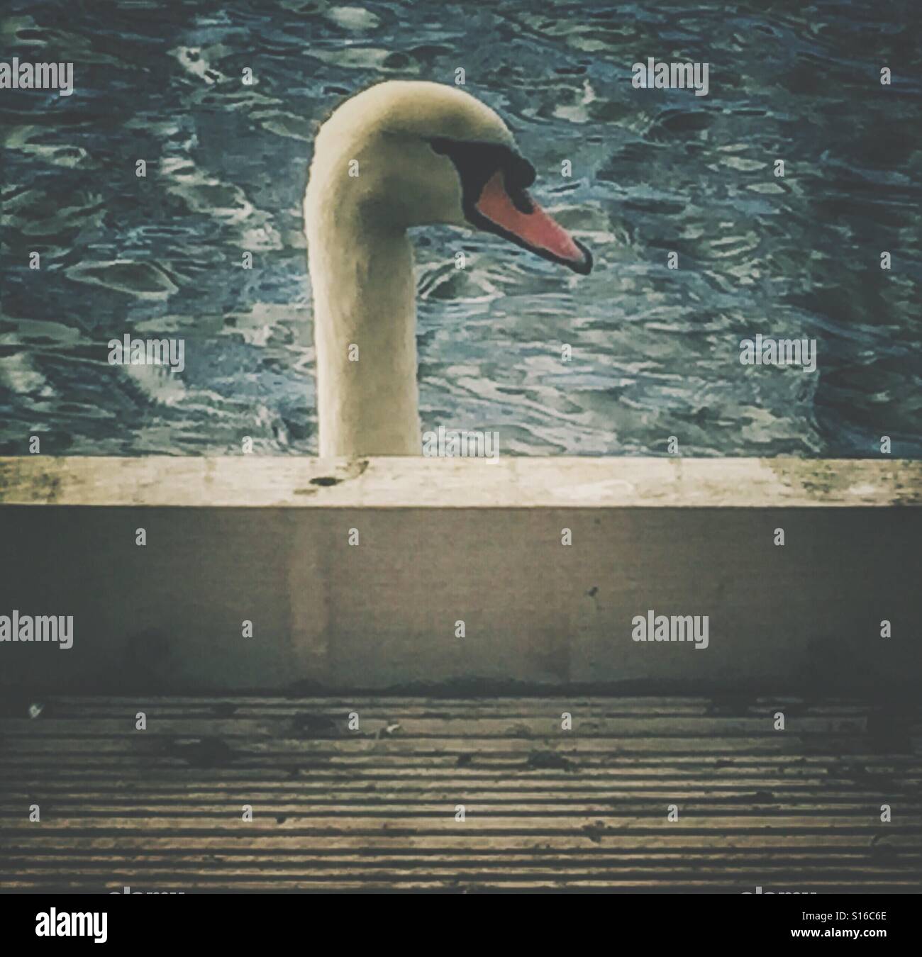 White Platforms High Resolution Stock Photography and Images - Alamy