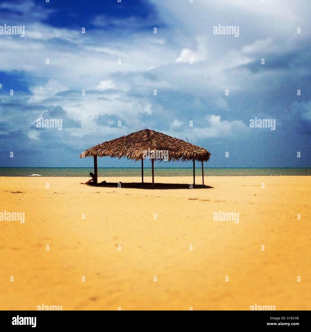 Beach life, Brazil Stock Photo - Alamy