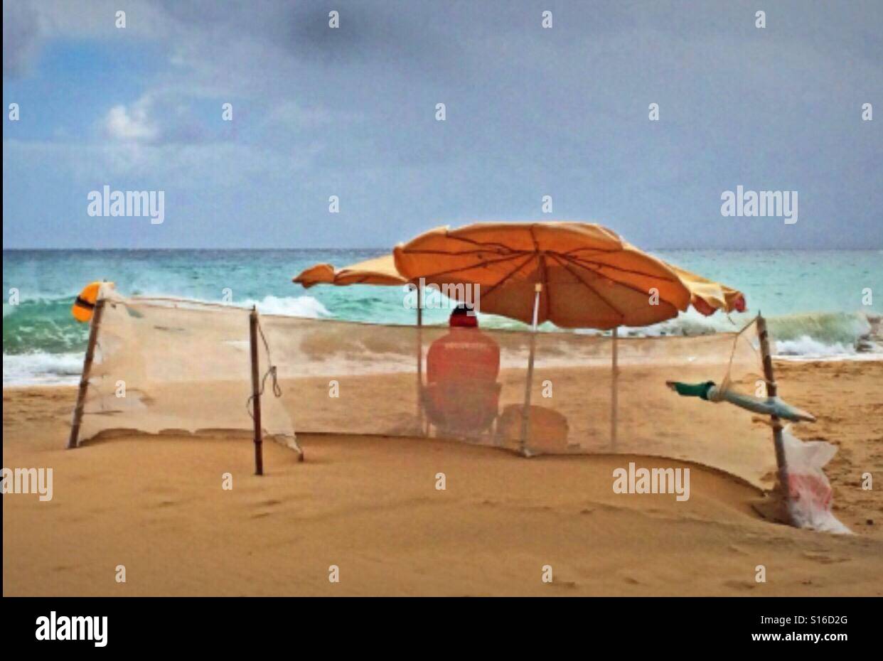 Sea guard hi-res stock photography and images - Alamy