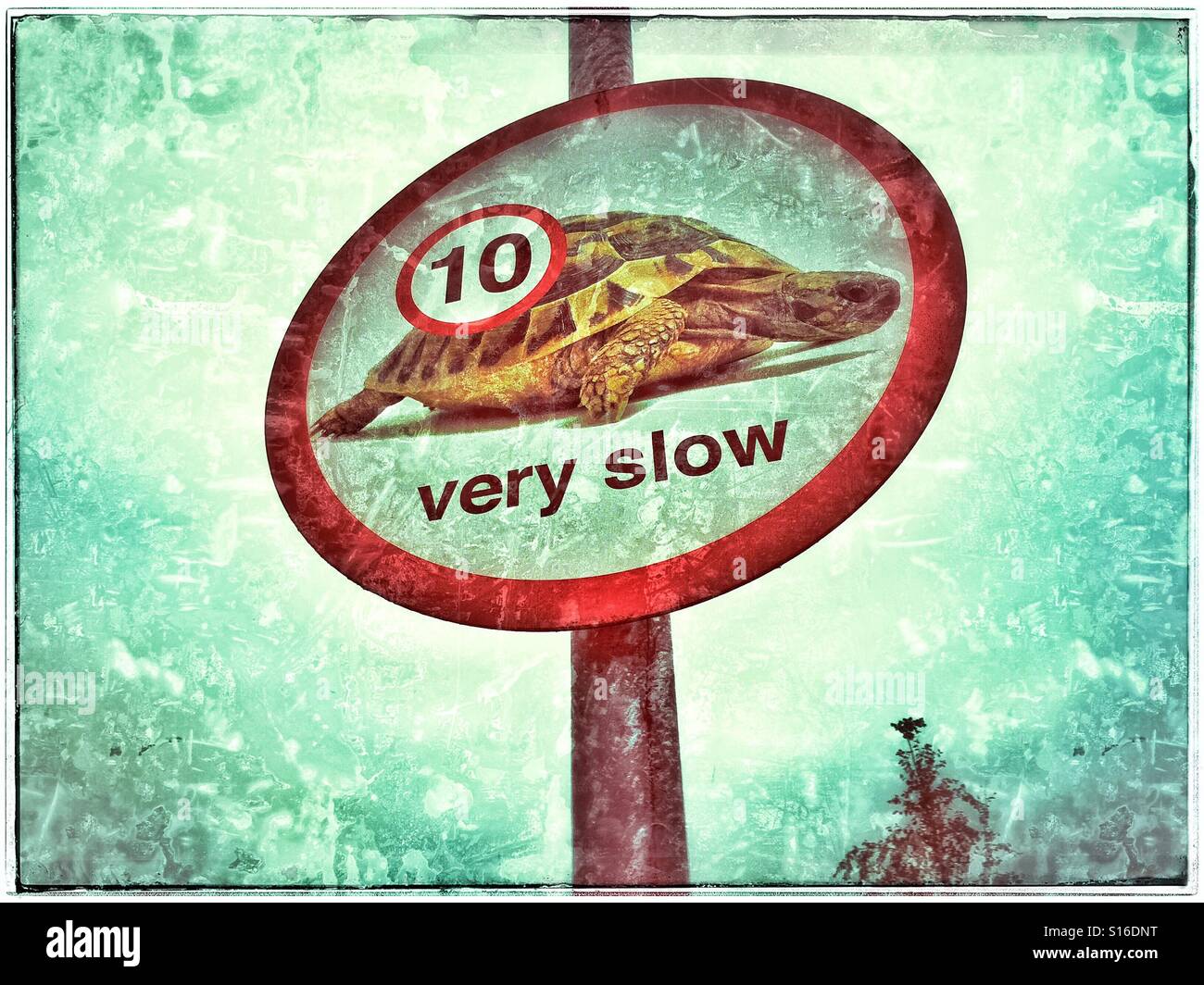 Tortoise warning road sign hi-res stock photography and images - Alamy