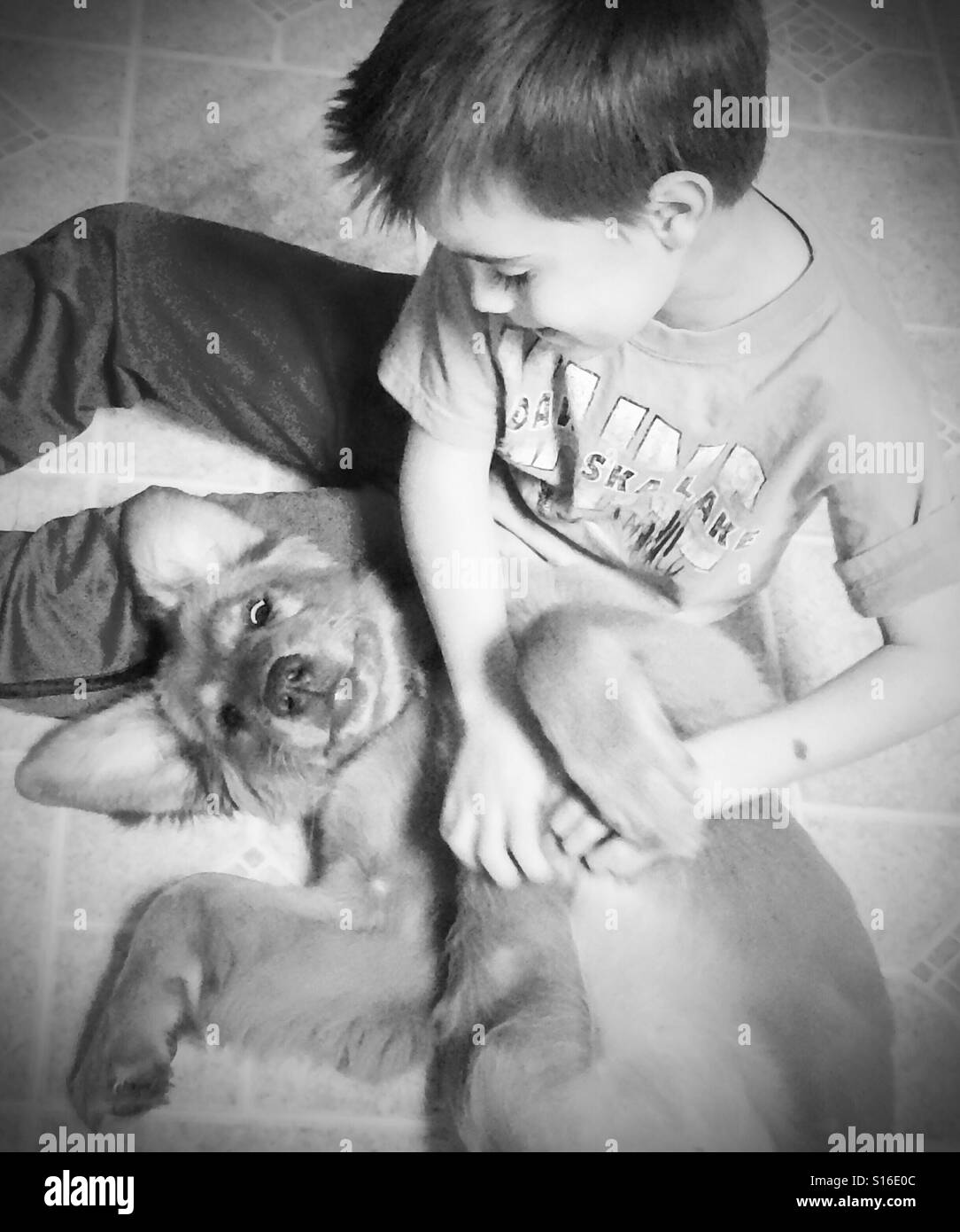 A six year old boy gives his puppy tummy rubs Stock Photo - Alamy