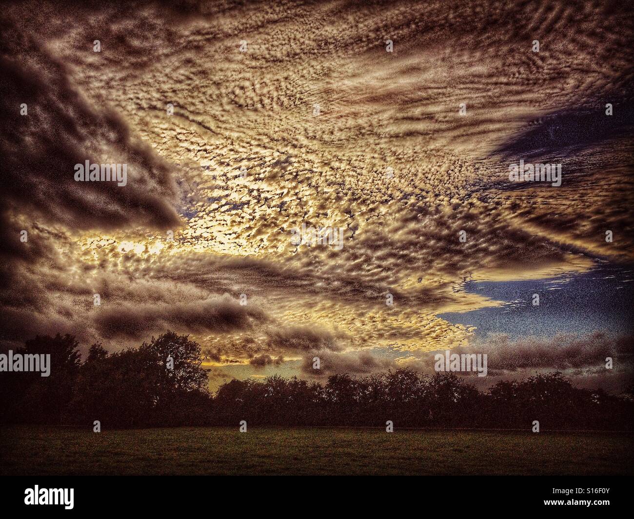 Big sky with cloud above tree line Stock Photo - Alamy
