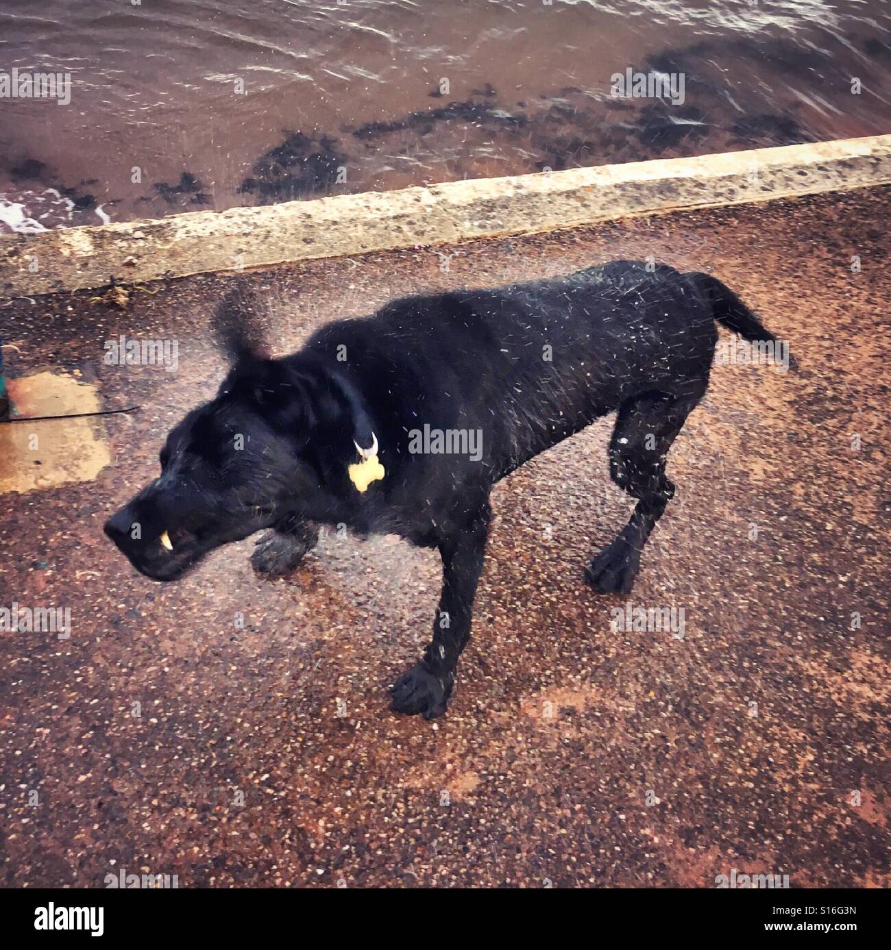 Super shake hi-res stock photography and images - Alamy