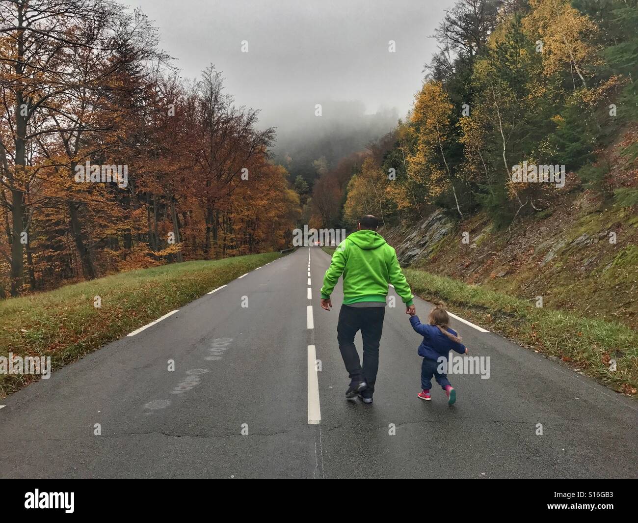 Father and children walking on the road in the forest Stock Photo - Alamy